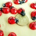 40 Pcs Ladybug Beads, Red Glass Beads Ladybird Beads - Ladybug ...