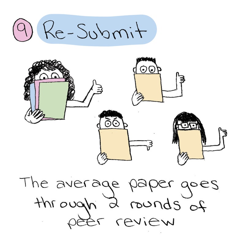 Poster: the Scientific Publishing Process - Etsy