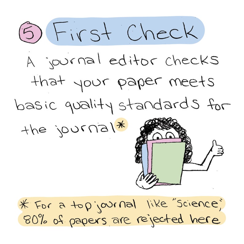Poster: the Scientific Publishing Process - Etsy