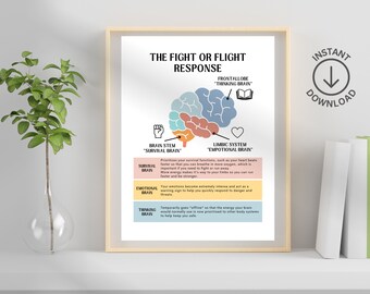 Buy The Human Nervous System, Fight or Flight Response, Human Brain ...