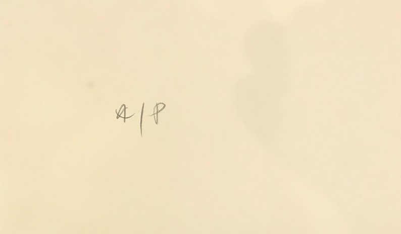Peter Max "flowers in the Wind" Signed Artist Proof Limited Edition ...