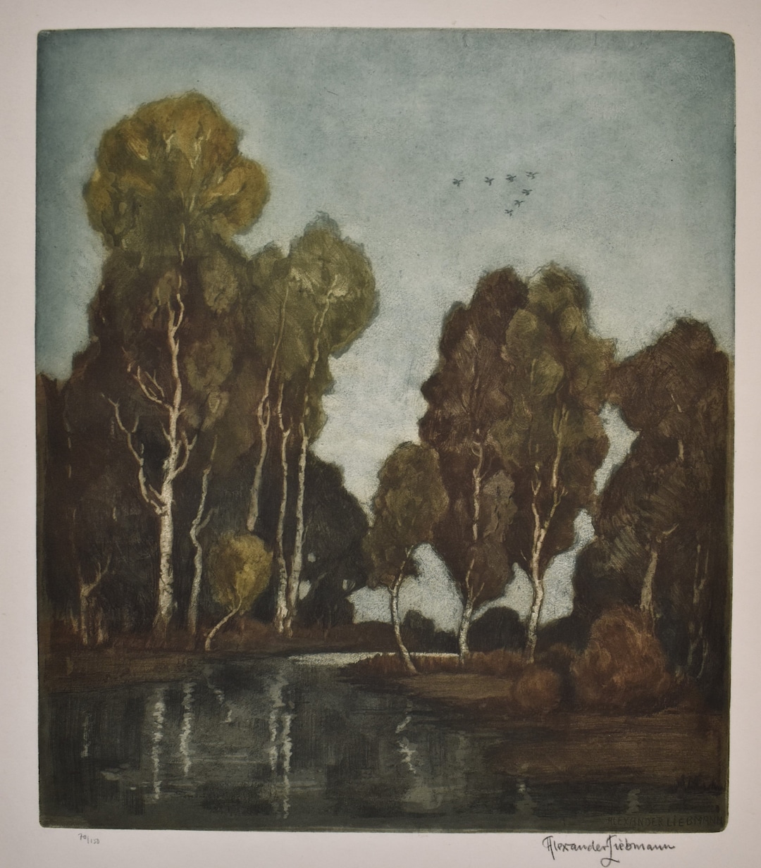 Colored Etching, Landscape by Alexander Liebmann - Etsy