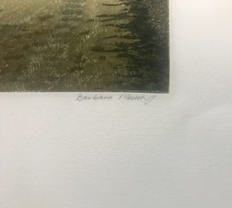 Limited Edition Deckle Edge Color Etching by Artist Barbara Munns - Etsy