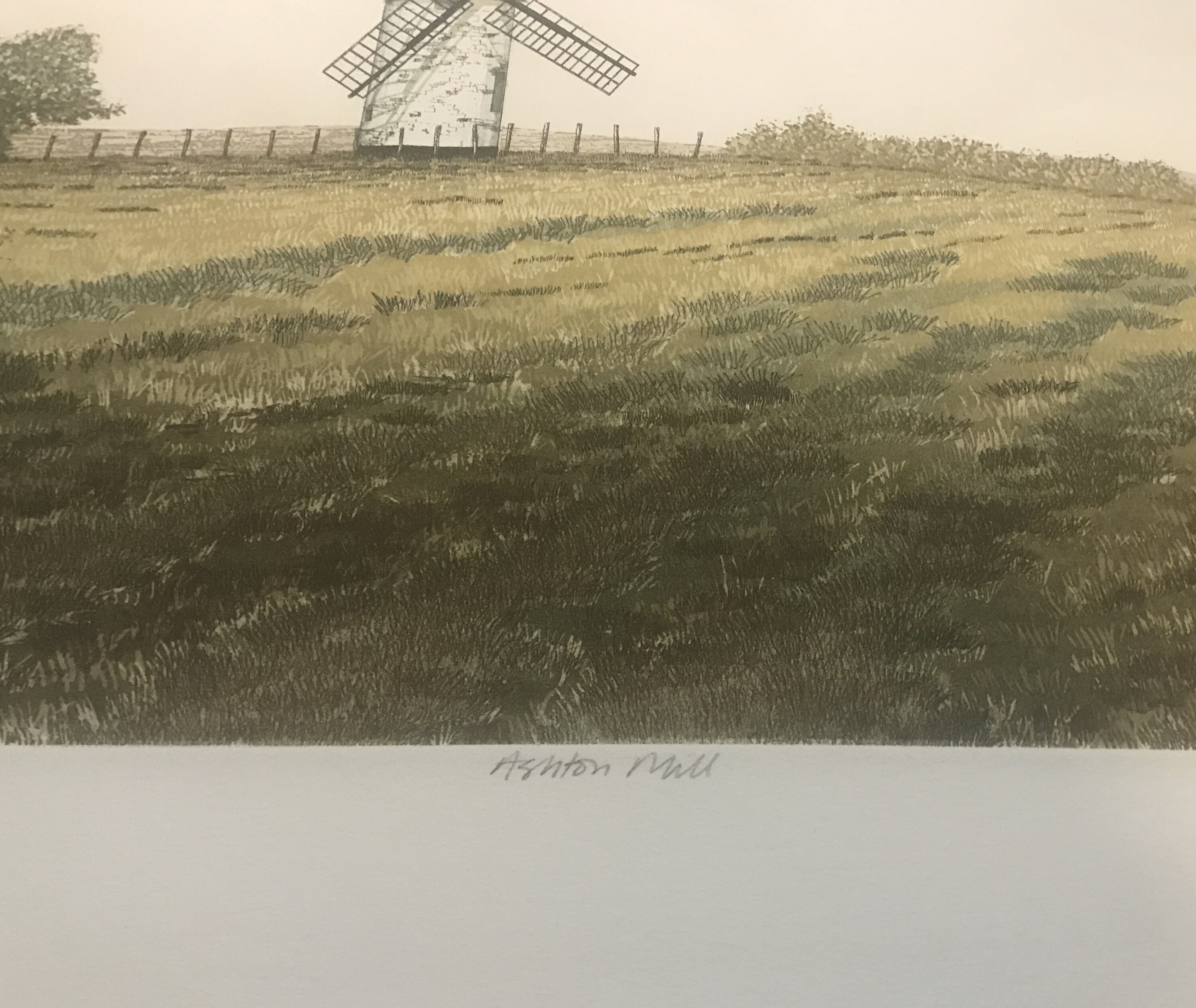 Limited Edition Deckle Edge Color Etching by Artist Barbara Munns - Etsy