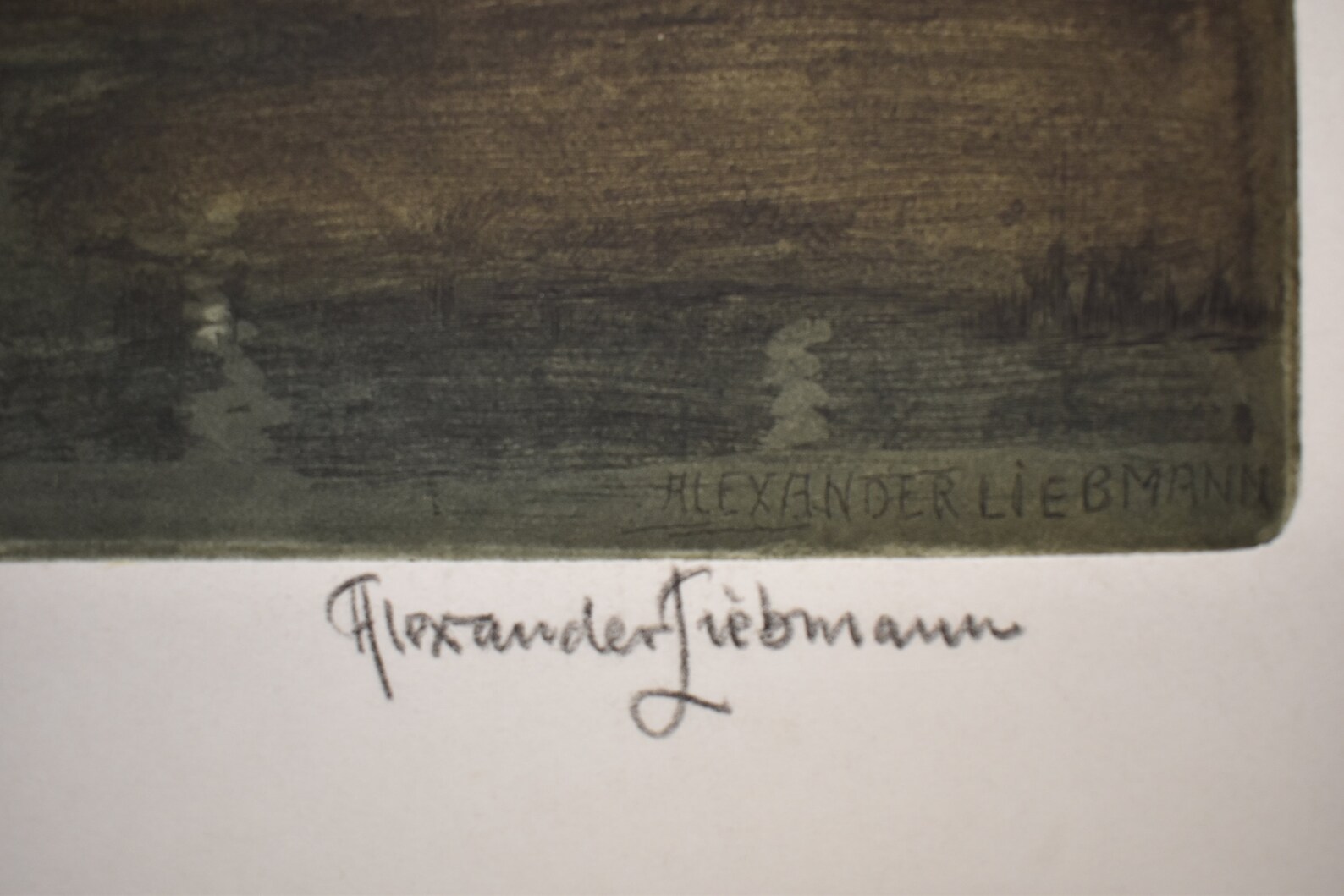 Colored Etching, Landscape by Alexander Liebmann - Etsy