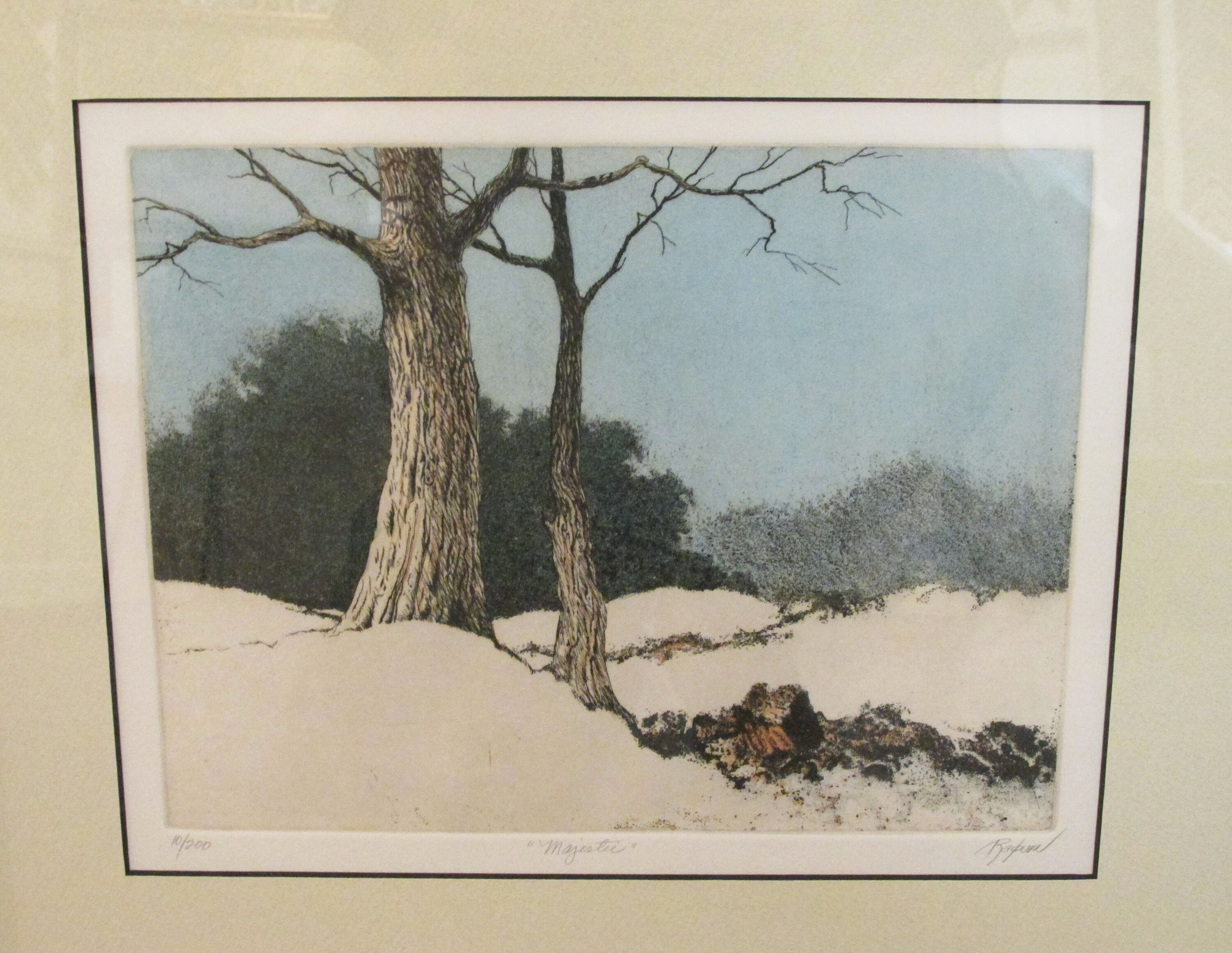 Dale Rayburn "majestic" Framed Color Etching, Signed and Numbered - Etsy