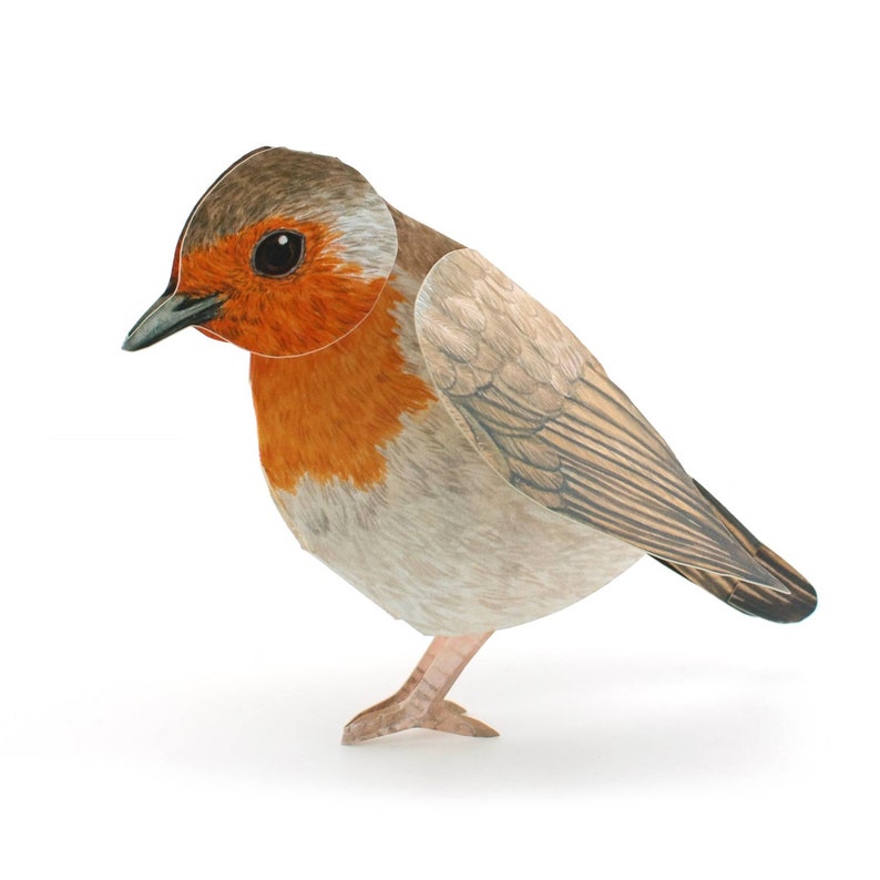 3D Animal Folding Card "robin" Pop-up Card Greeting Card Postcard - Etsy