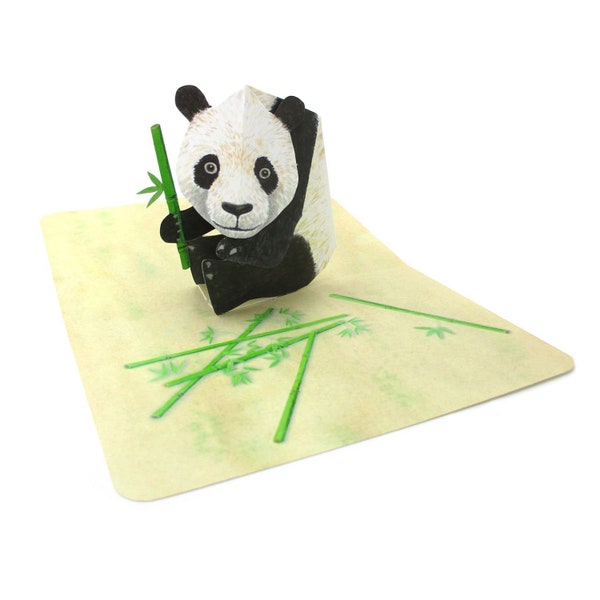 Panda Pop Up - Etsy