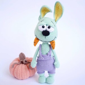 Halloween Crochet Bunny Doll PATTERN. Funny Vampire Rabbit. - Etsy