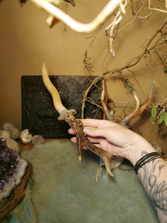 Wall Wand Ritual Wand Antler Witch Wand Witch's Wand - Etsy