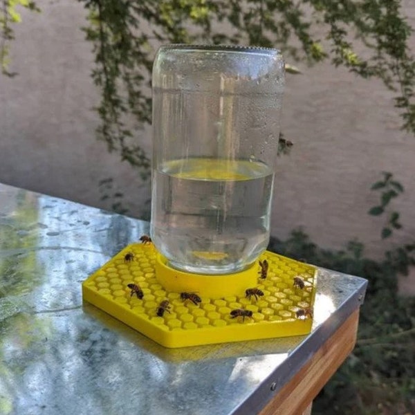 Bee Feeder for Mason Jar - Etsy