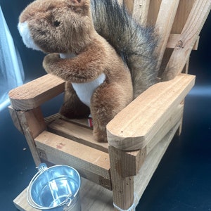 Squirrel Feeder, Adirondack Chair, Wooden Chair, Squirrel Watching ...