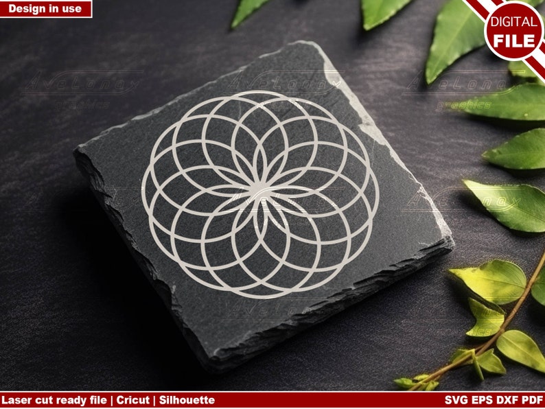 Lotus of Life Png, Torus Svg, Sacred Geometry Svg, Flower of Life Laser ...