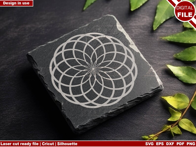 Lotus of Life Png, Torus Svg, Sacred Geometry Svg, EMF Protection ...