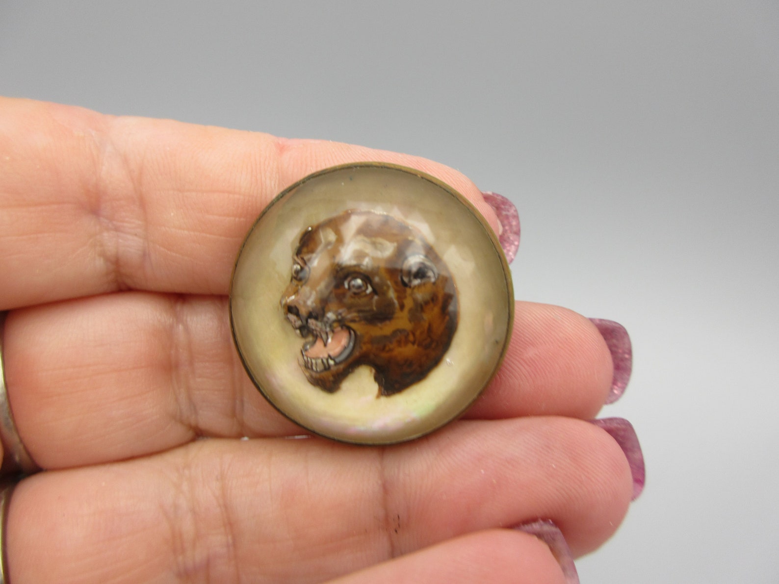 Big Antique Essex Crystal Button of a Big Cat 1" Wide #2 - Etsy