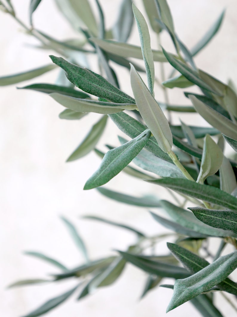 Faux Olive Tree in Rustic Grey Ceramic Pot Artificial Indoor - Etsy UK