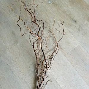 Twisted Willow Branches Tall Curly Twigs for Vase Natural Dried Stems ...