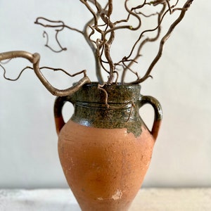 Contorted Hazel Corylus Branch Curly Twigs for Tabletop Vase Corkscrew ...