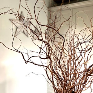 Twisted Willow Branches Tall Curly Twigs for Vase Natural Dried Stems ...