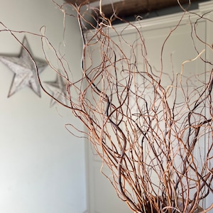 Twisted Willow Branches Tall Curly Twigs for Vase Natural Dried Stems ...