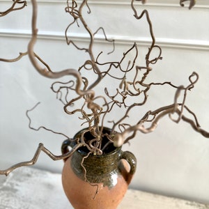 Contorted Hazel Corylus Branch Curly Twigs for Tabletop Vase Corkscrew ...