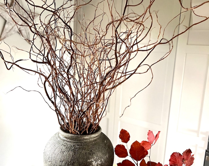 Twisted Willow Branches Tall Curly Twigs for Vase Natural Dried Stems ...