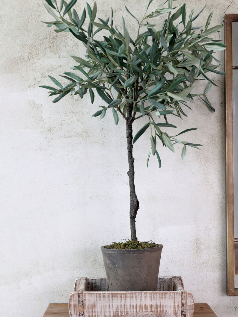 Faux Olive Tree in Rustic Grey Ceramic Pot Artificial Indoor - Etsy UK