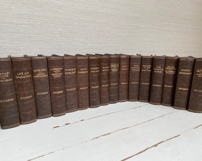 Charles Dickens Book Set Antique Illustrated Blue & Gold Books ...