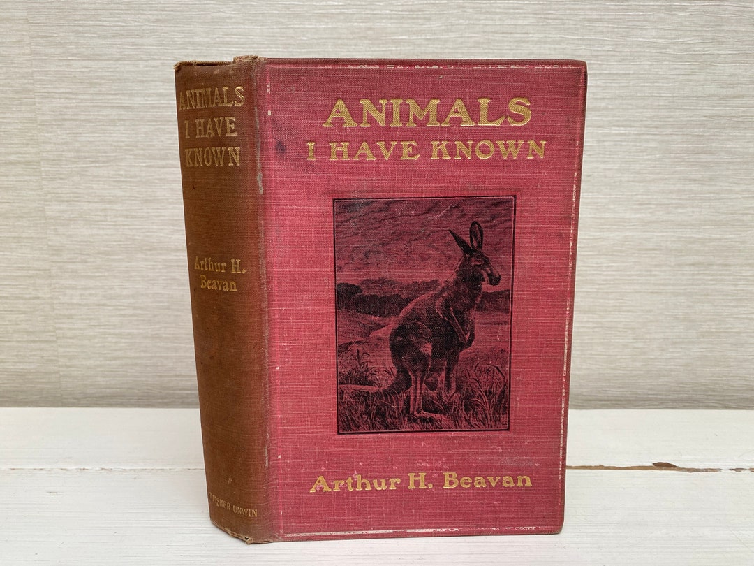 Animals I Have Known by Arthur Beavan 1905 Antique Hardback Book ...