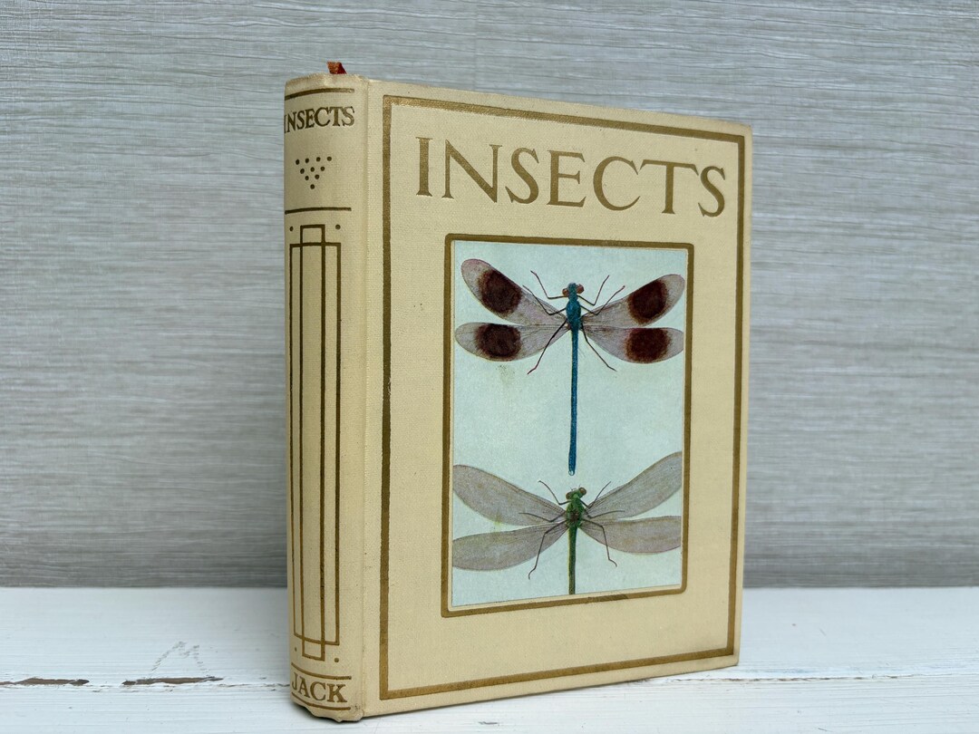 British Insects by Arthur O Cooke - Shown Series Vintage Illustrated ...