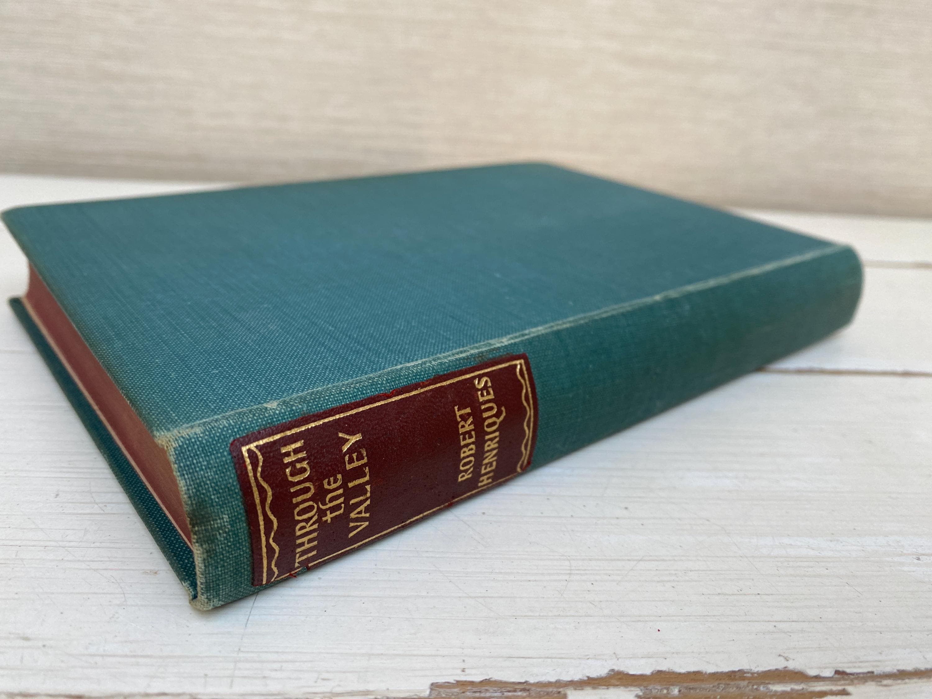 Through the Valley by Robert Henriques 1951 Vintage Hardback Book- the ...
