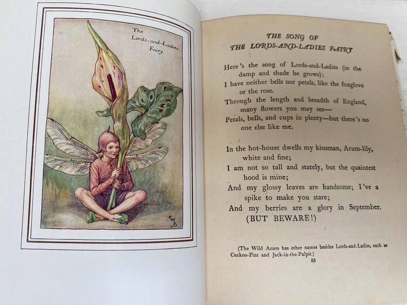 The Book of Flower Fairies by Cicely Mary Barker Illustrated First ...