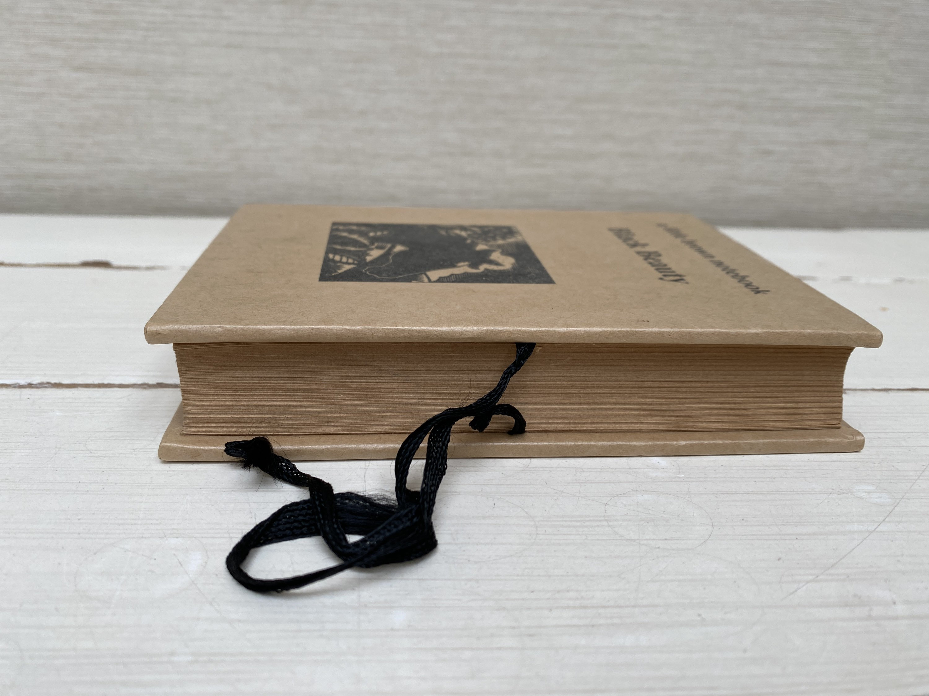 A Little Brown Notebook Scenes From Black Beauty by Anna Sewell ...