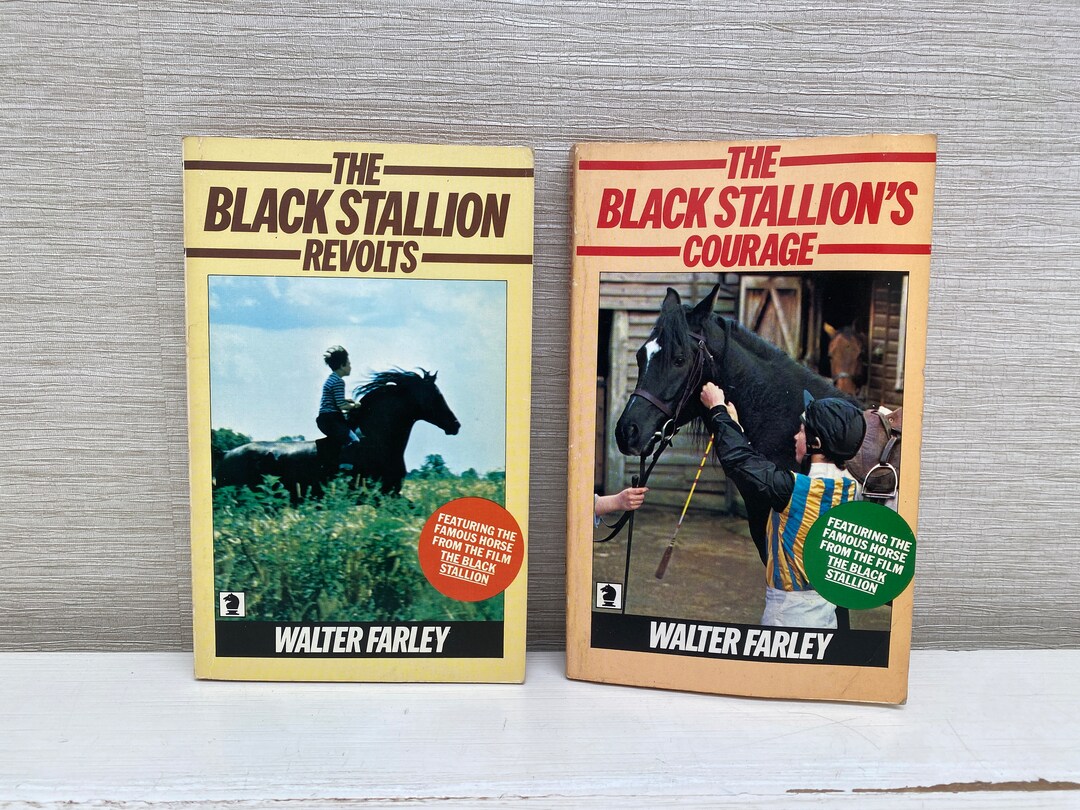 The Black Stallion by Walter Farley 1970s Children's Young Adults Books ...