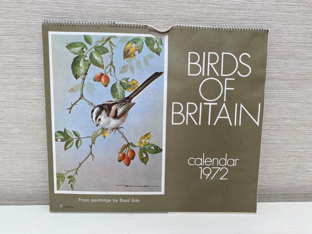 Vintage Birds of Britain Calendar 1972 - Etsy
