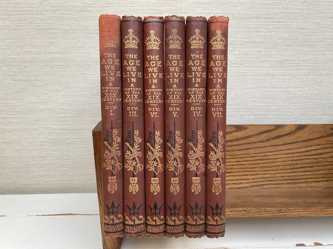 The Age We Live in A History of the Nineteenth Century Antique 1880s ...