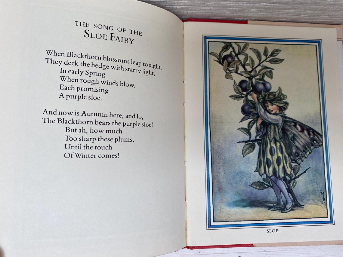 Flower Fairies of the Autumn by Cicely Mary Barker 1985 Hardback ...