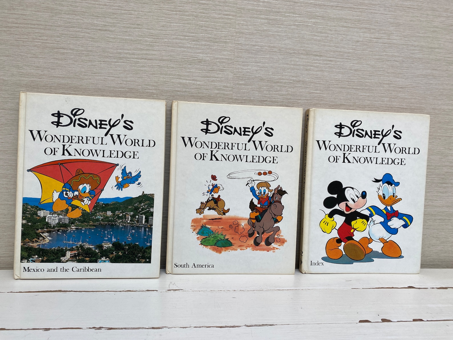 Disney's Wonderful World of Knowledge Vintage 1970s Hardback Books ...