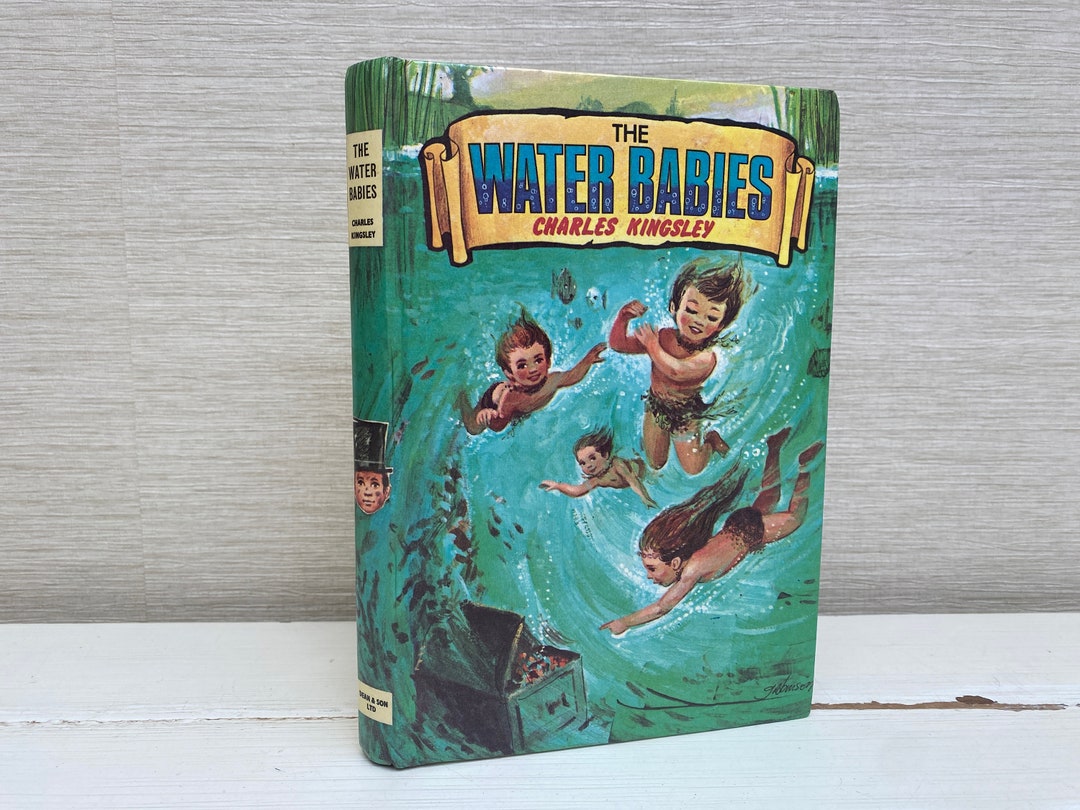 The Water Babies by Charles Kingsley 1970s Hardback Children's Book ...