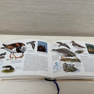 Field Guide to the Birds of Britain First Edition 1981 Hardback Book ...