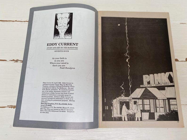Eddy Current #7 (of 12) - Ted Mckeever, Mad Dog Graphics Comic April ...