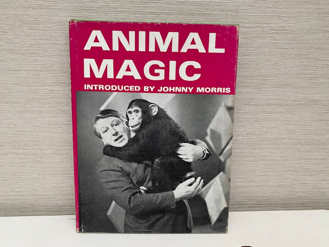 Animal Magic by Johnny Morris 1966 Hardback Book - David and Charles - Etsy