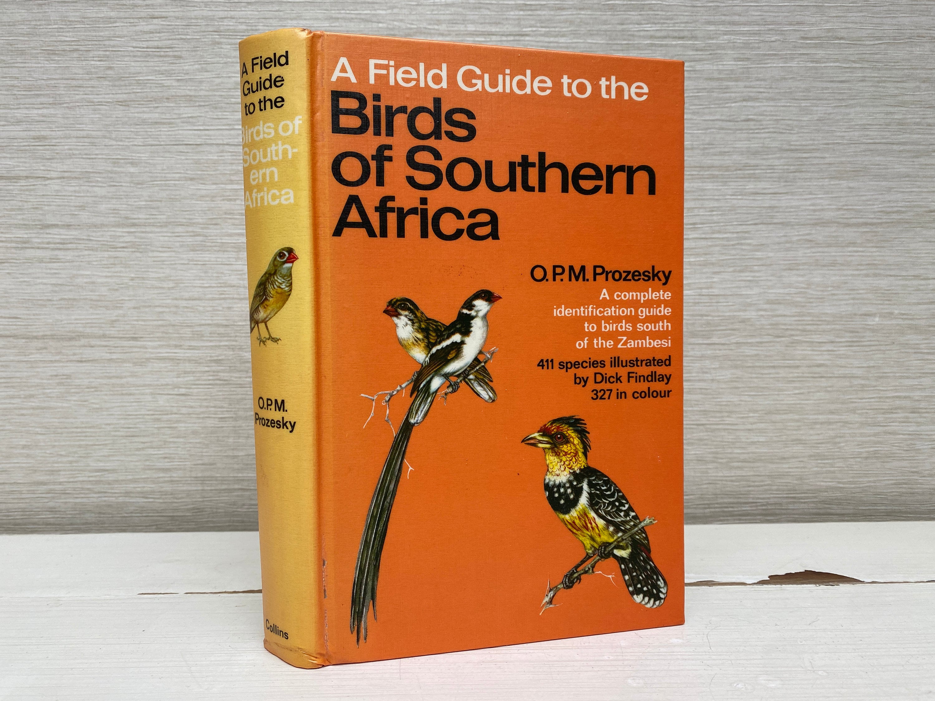 South African Birds Identification