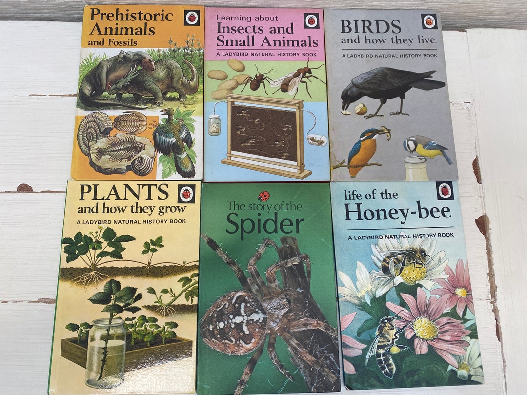 Ladybird Vintage Hardback Books - Natural History - Series 651 - 19760 ...