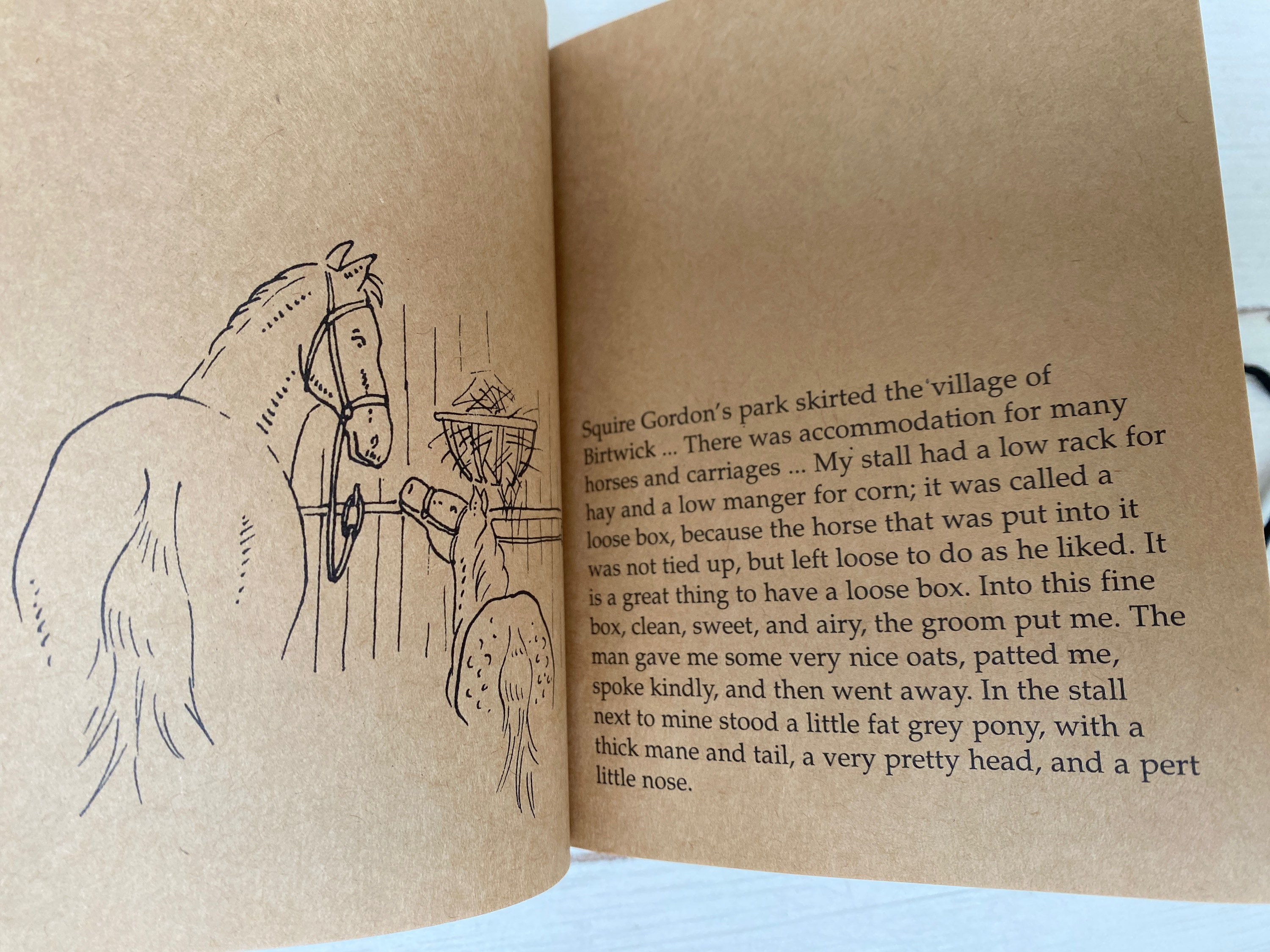 A Little Brown Notebook Scenes From Black Beauty by Anna Sewell ...