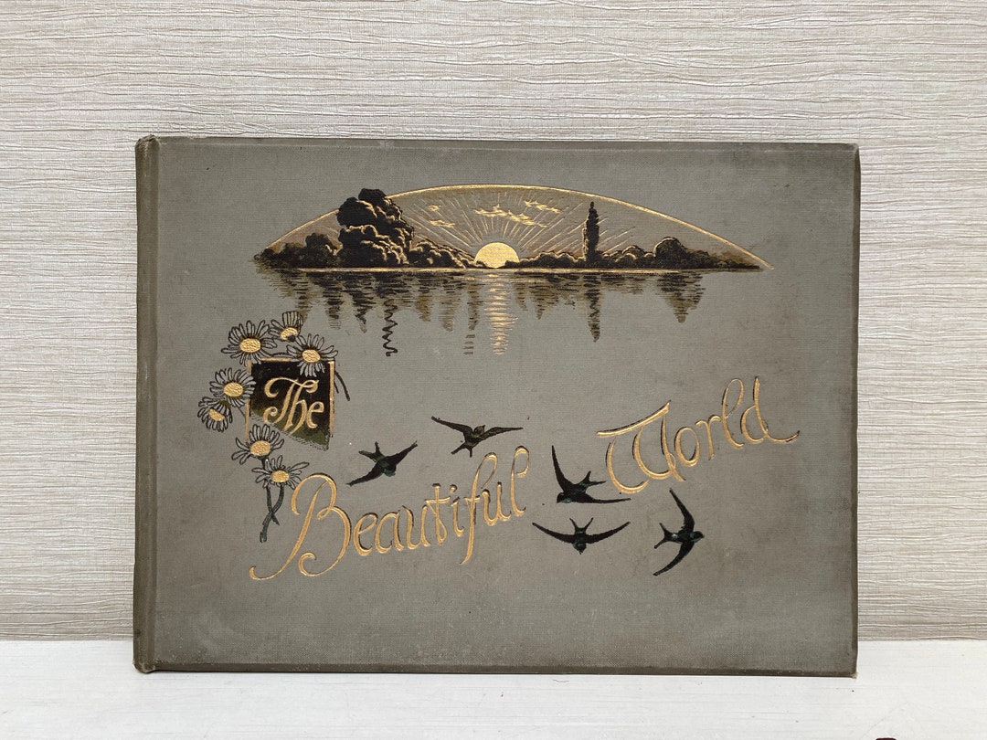 The Beautiful World and Other Poems Illustrated Hardback Book - Etsy