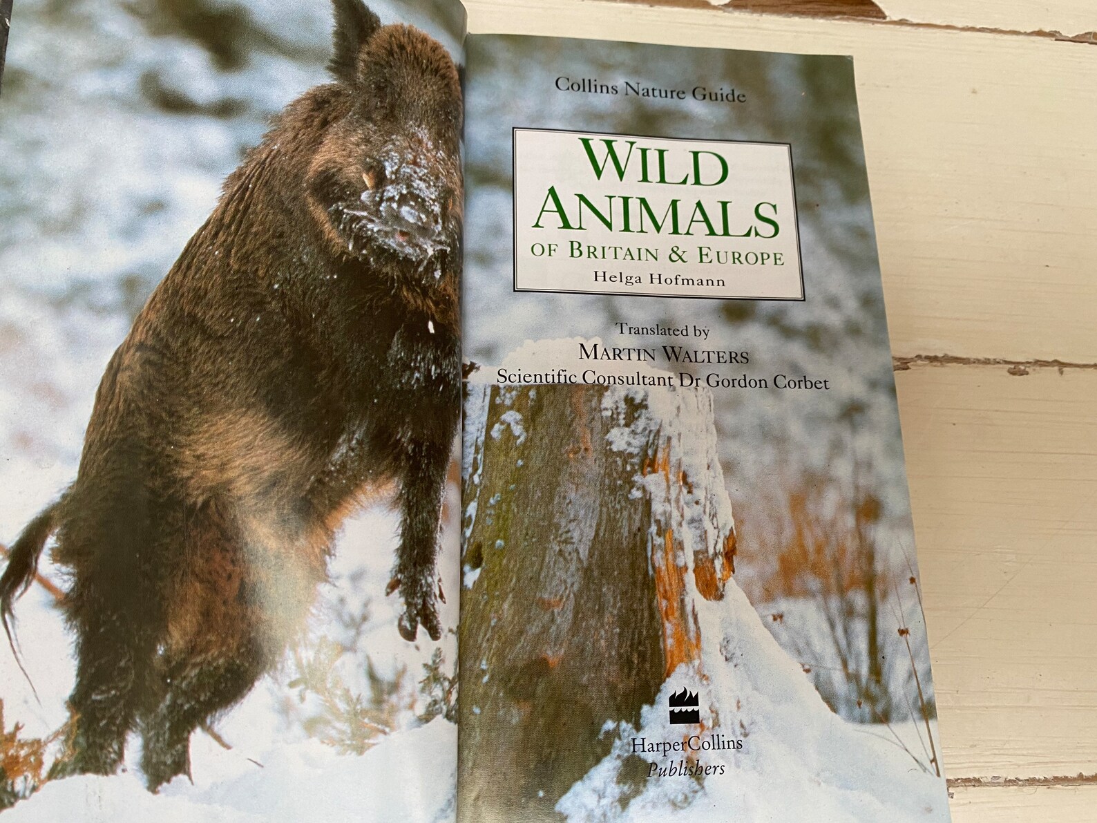 Collins Nature Guides - Wild Animals of Britain and Europe 1995 ...