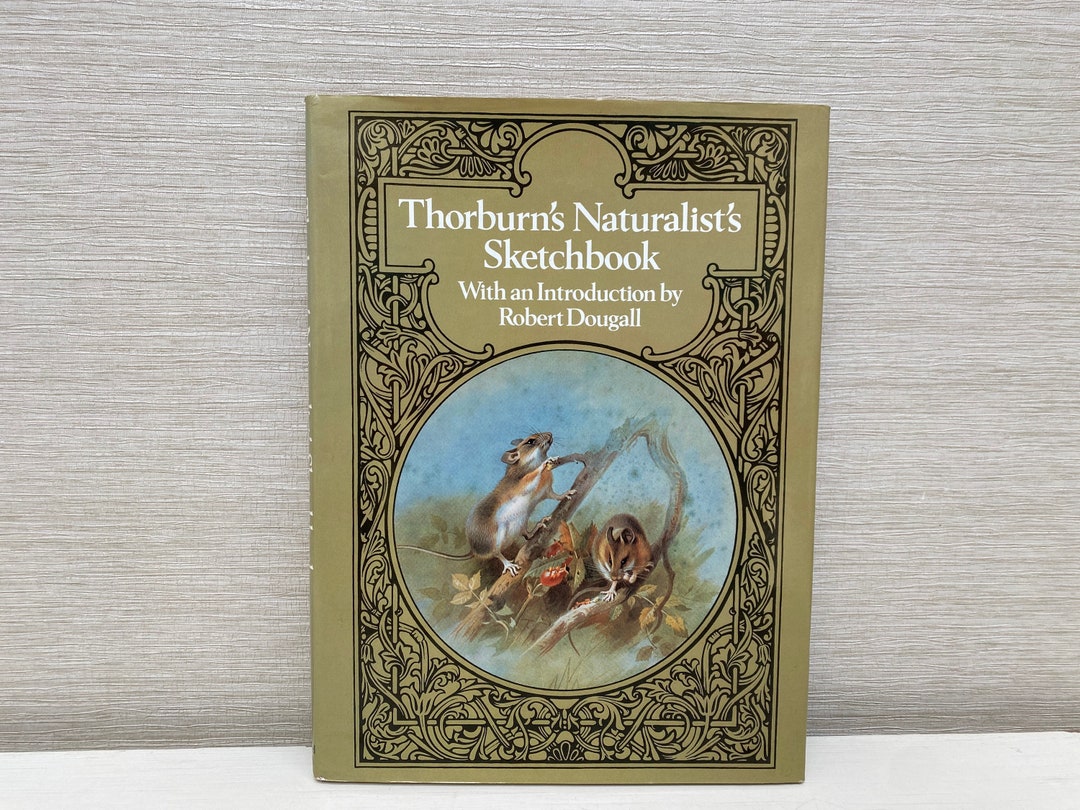 Thorburns Naturalist Sketchbook by Robert Dougall 1977 First Edition ...