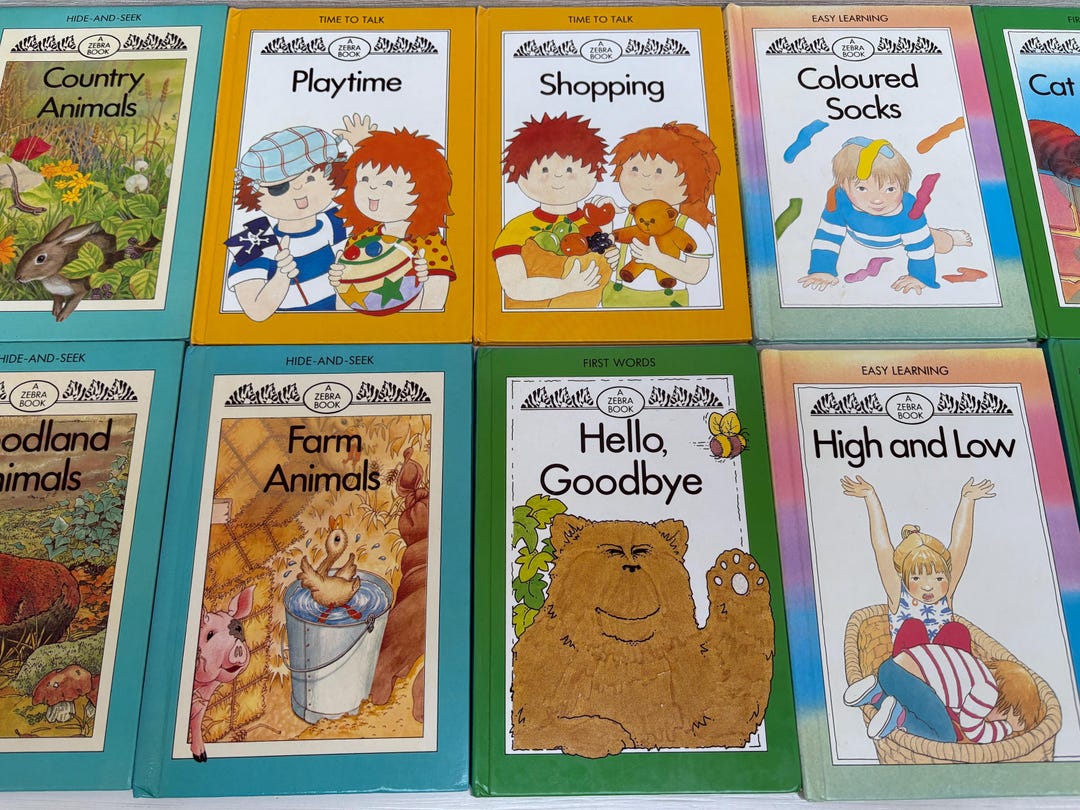 Zebra Books Educational Learning Children's Vintage Hardback Books ...