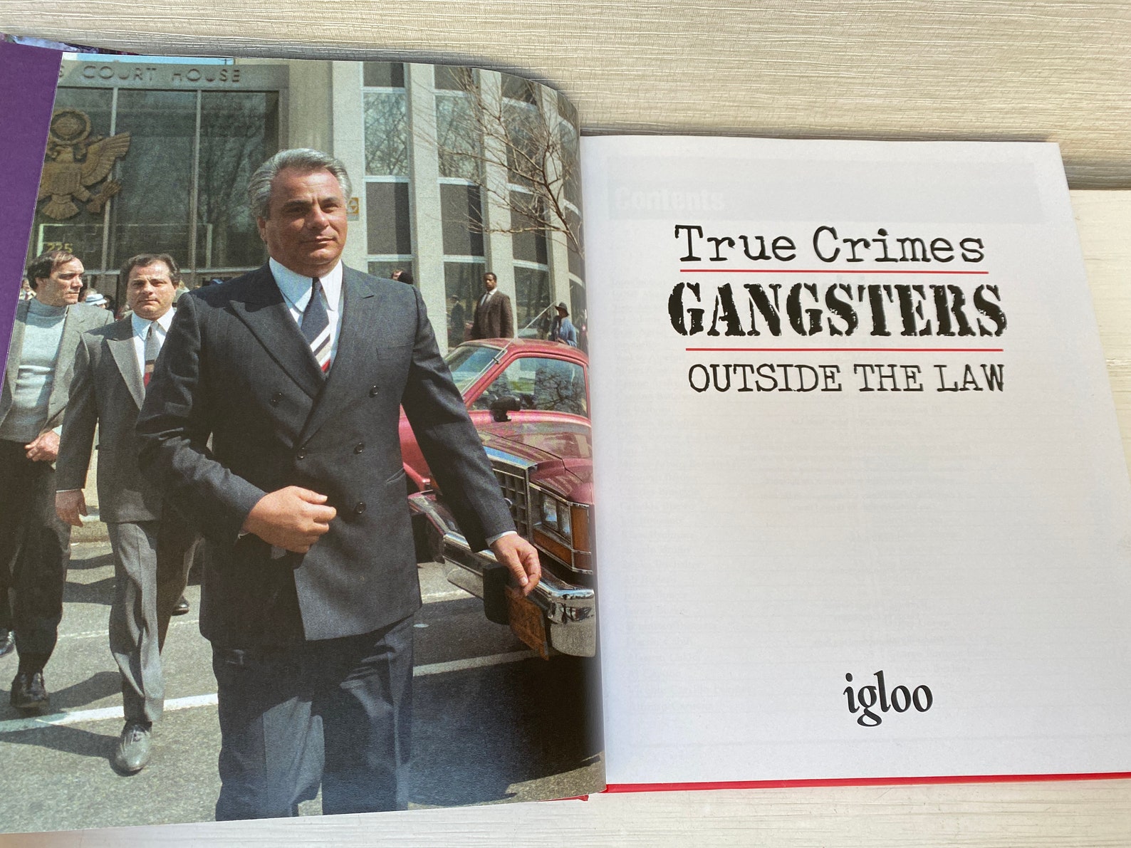 Gangsters - True Crimes Outside the Law - Igloo Books Hardback - Etsy